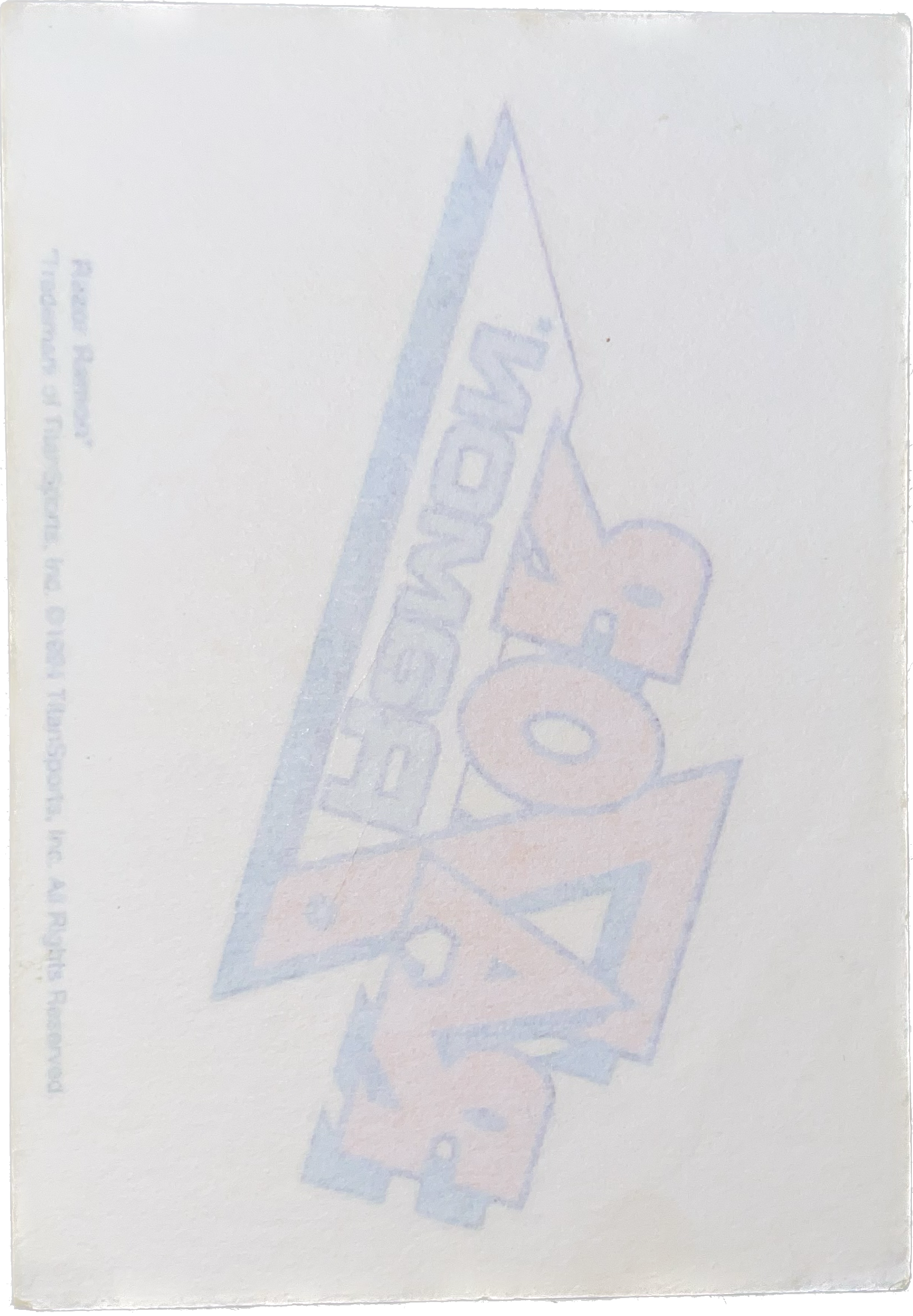 WWF Tattoos 1994 Razor Ramon Logo from Germany – PW Catalog