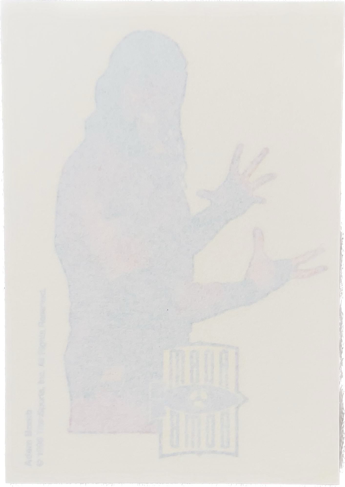 WWF Tattoos 1995 Adam Bomb from Germany – PW Catalog