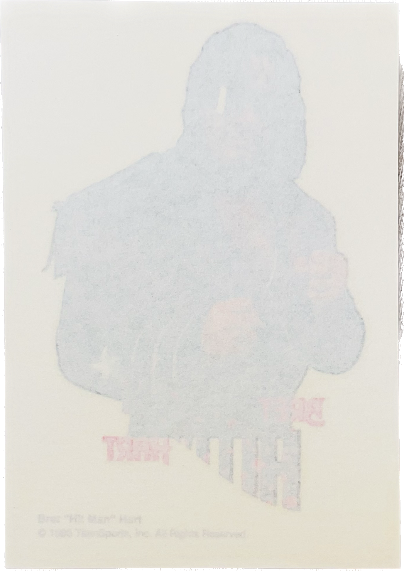 WWF Tattoos 1995 Bret Hart from Germany – PW Catalog