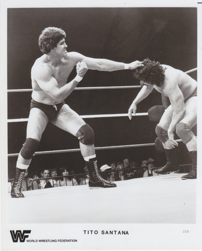 1983 Tito Santana #210 – PW Catalog