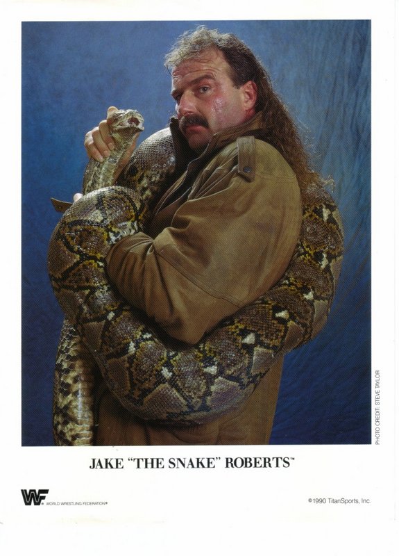 1990 Jake the Snake Roberts color – PW Catalog