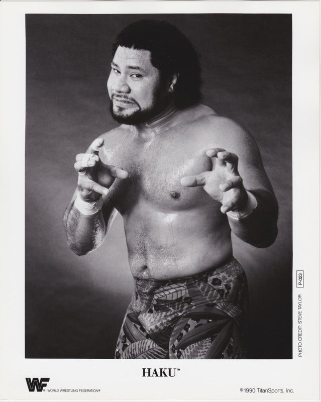 1990 Haku P023 b/w – PW Catalog