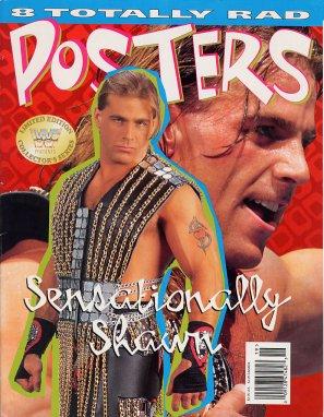 WWF posters 8 totally rad posters 1996 – PW Catalog